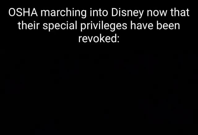 OSHA marching into Disney now that their special privileges have been ...