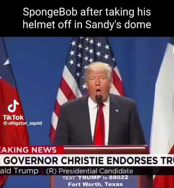 SpongeBob after taking his helmet off in Sandy's dome re TikTok ...