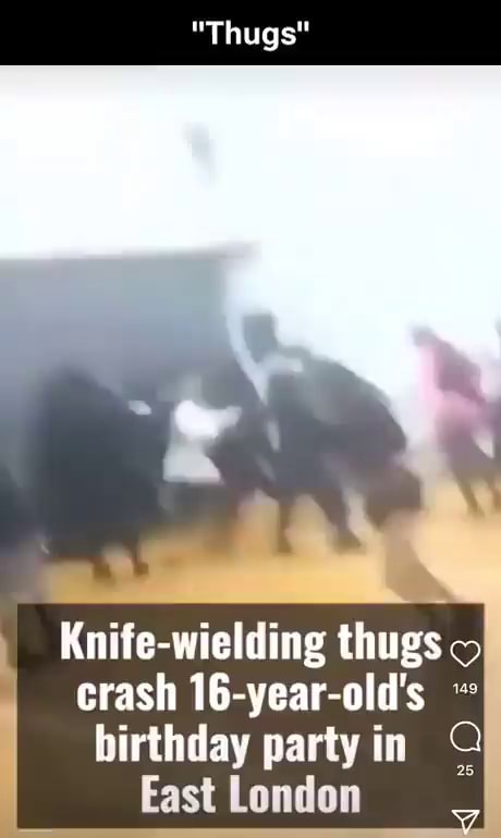 "Thugs" Knitie-wielding thugs crash 16-year-old's birthday party in ...
