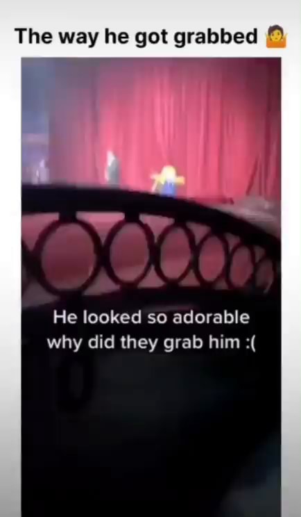 The way he got grabbed He looked so adorable why did they grab him - iFunny