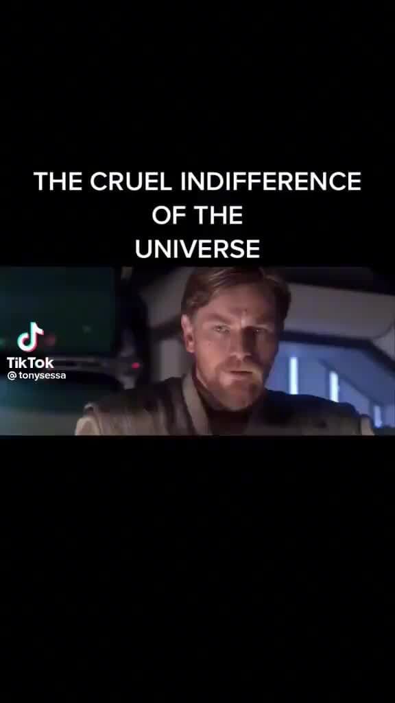 THE CRUEL INDIFFERENCE OF THE UNIVERSE cf TikTok - iFunny