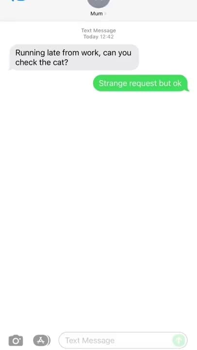 Mum Text Message Today Strange request but ok Running late from work ...