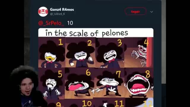 @ SrPelo_ 10 in the scale of pelones - iFunny