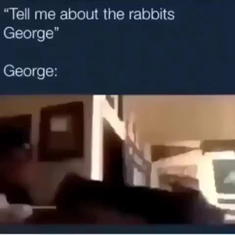 "Tell me about the rabbits George" George: - iFunny