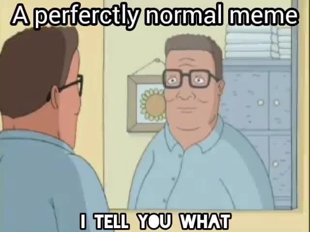 A perferctly normal meme I TELL YOU WHAT - iFunny