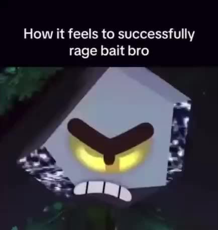 How it feels to successfully rage bait bro - iFunny