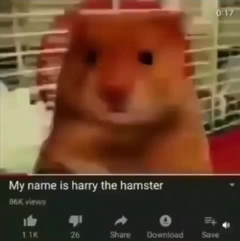 My name is harry the hamster views: - iFunny