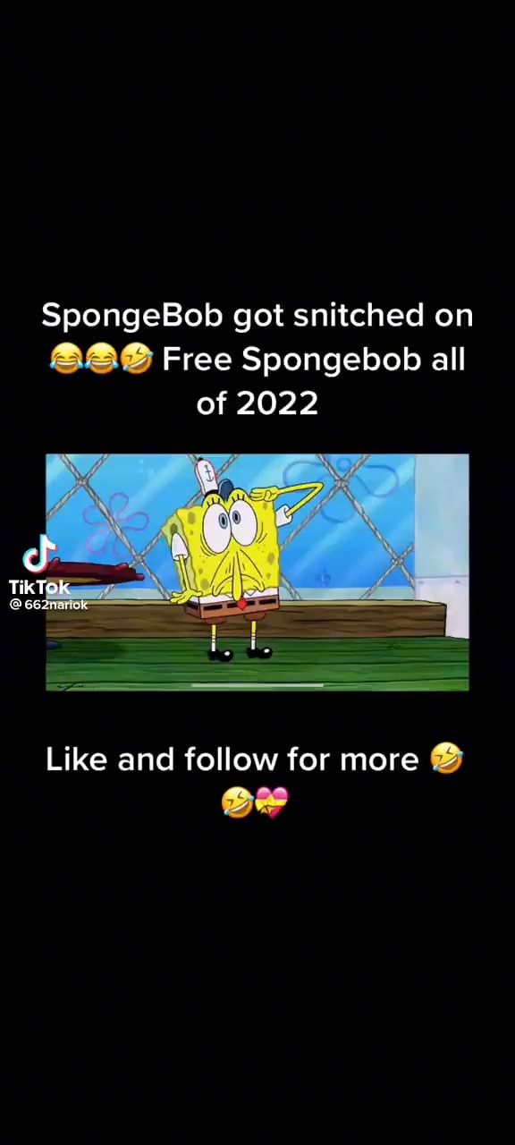 SpongeBob got snitched on Free Spongebob all of 2022 Tik Like and ...