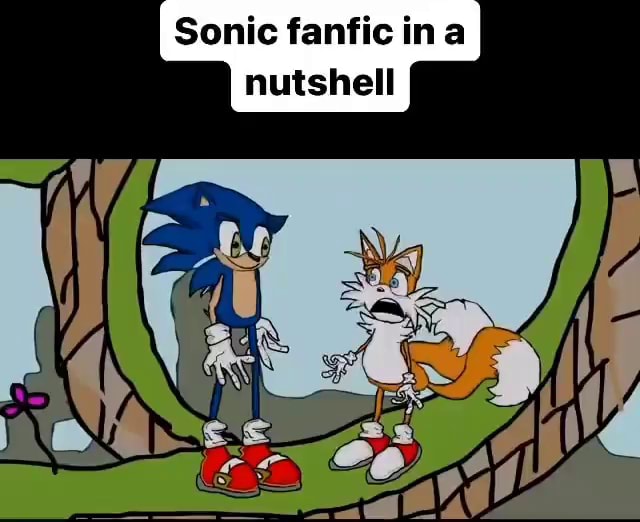 Sonic fanfic ina nutshell - iFunny