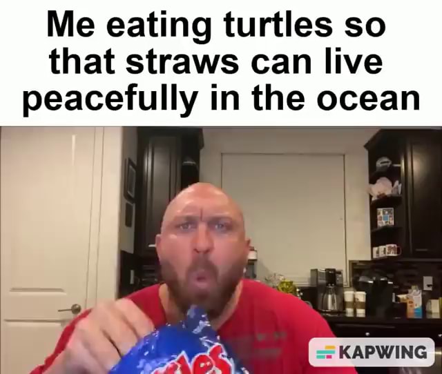 Me eating turtles so that straws can live peacefully in the ocean - iFunny