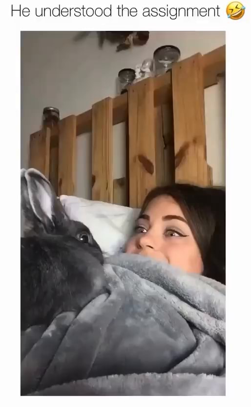 He understood the assignment - iFunny