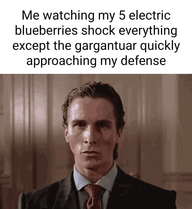 Me watching my 5 electric blueberries shock everything except the ...