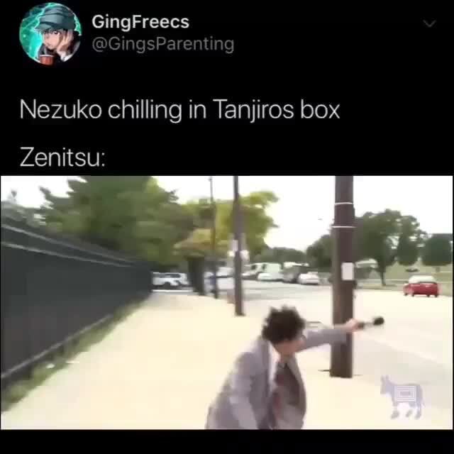 Tanjiros box Nezuko chilling - iFunny