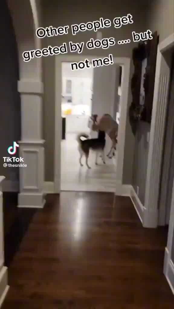COS one TikTok - iFunny
