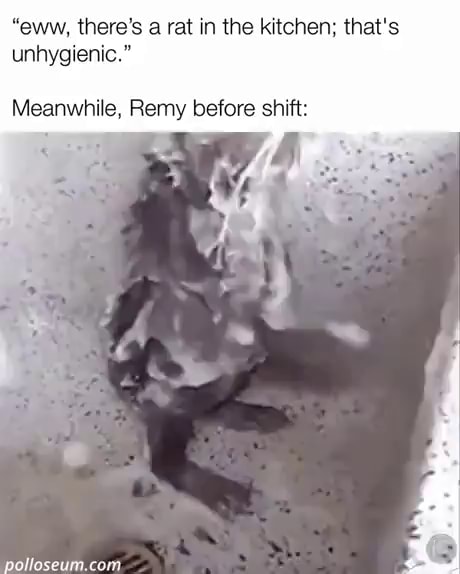 "eww, there's a rat in the kitchen; that's unhygienic." Meanwhile, Remy ...