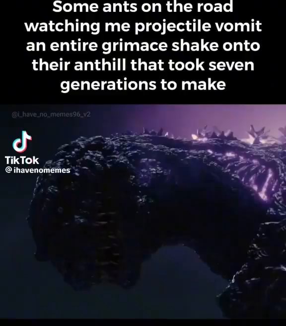 Some ants on the road watching me projectile vomit an entire grimace ...