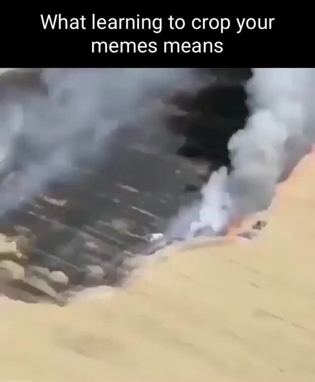 What learning to crop your memes means - iFunny