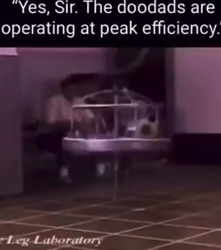 Yes, Sir. The doodads are operating at peak efficiency. - iFunny