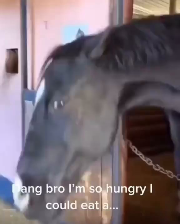 Ang Bro I M Se Hungry I Could Eata Ifunny