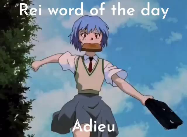 Rei word of the day Adieu - iFunny