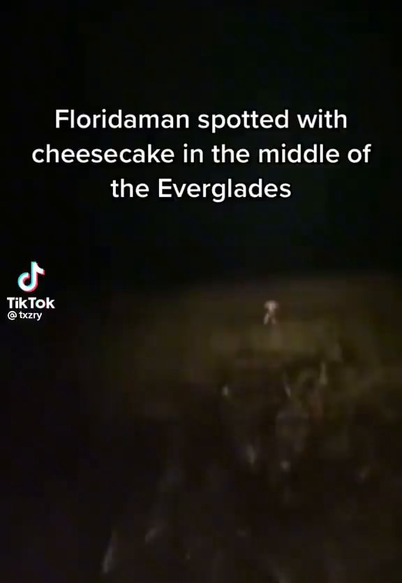 Floridaman spotted with cheesecake in the middle of the Everglades ...