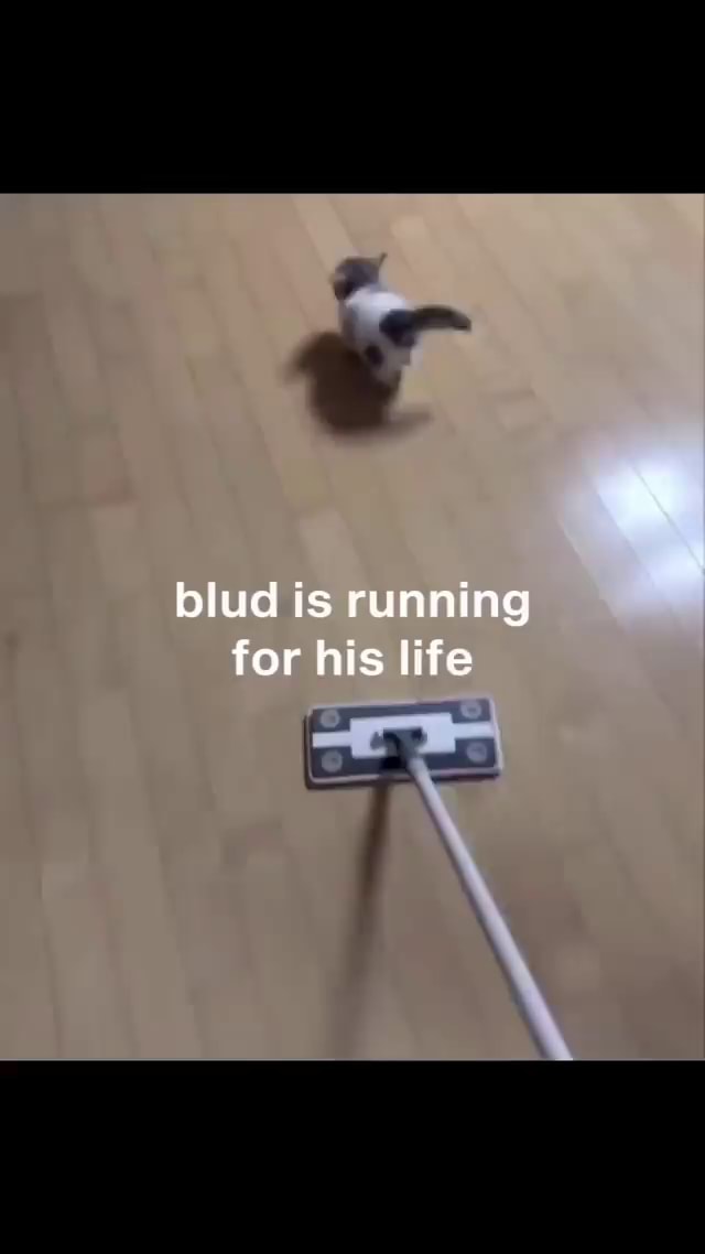 Blud is running for his life fan - iFunny