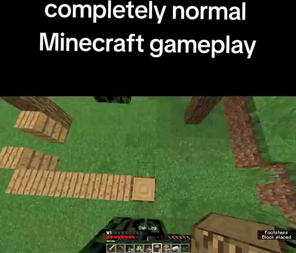 Completely normal Minecraft gameplay - iFunny