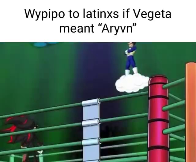 Wypipo to latinxs if Vegeta meant "Aryvn" - iFunny