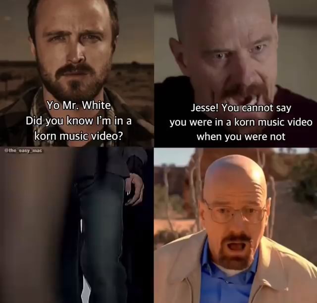 Yo Mr. Whire Jesse! You caniot say Did you know ina you were in korn ...