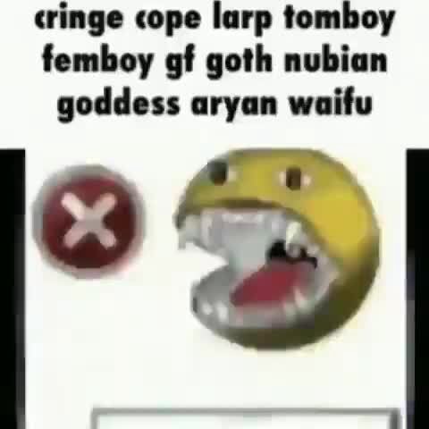 Cringe cope larp tomboy femboy gf goth nubian goddess aryan waifu - iFunny