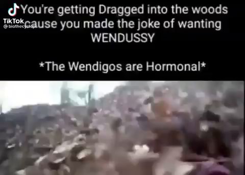 You're getting Dragged into the woods Sklekeause you made the joke of ...