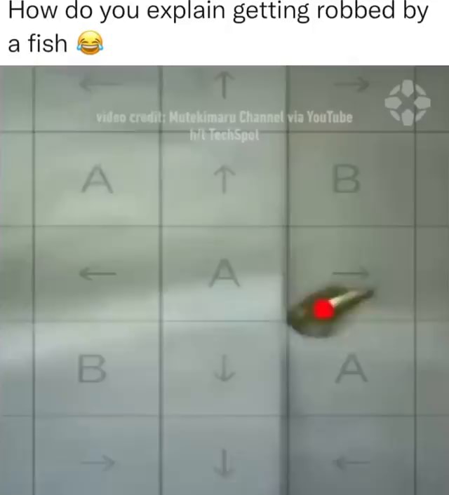 Flow do you explain getting robbed by a fish eg - iFunny