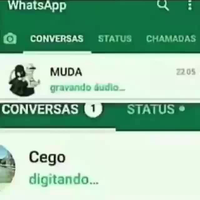 WhatsApp CONVERSAS STATUS MUDA gravando CONVERSAS STATUS Cego digitando ...
