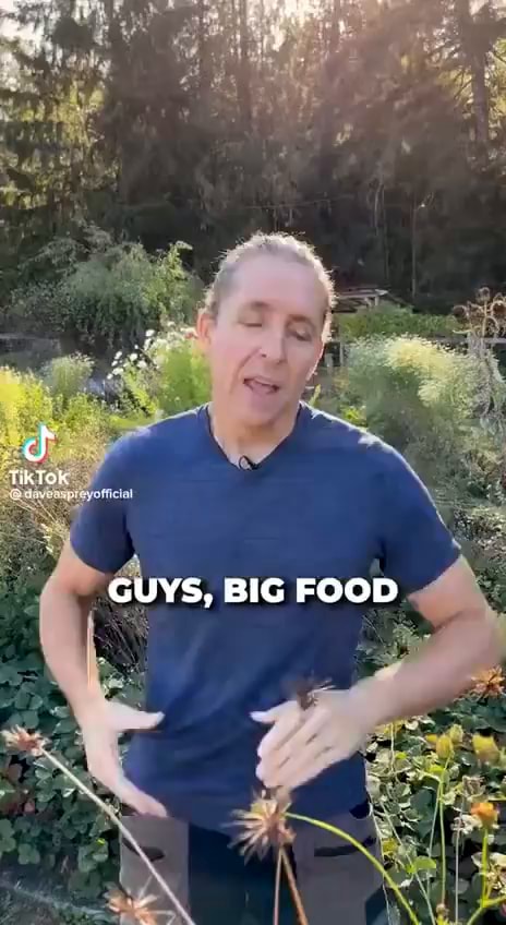 Tik Tok. GUYS, BIG FOOD - iFunny