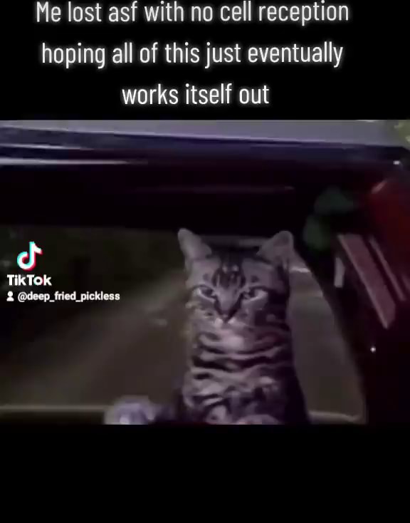 Me lost asf with no cell reception hoping all of this just eventually ...