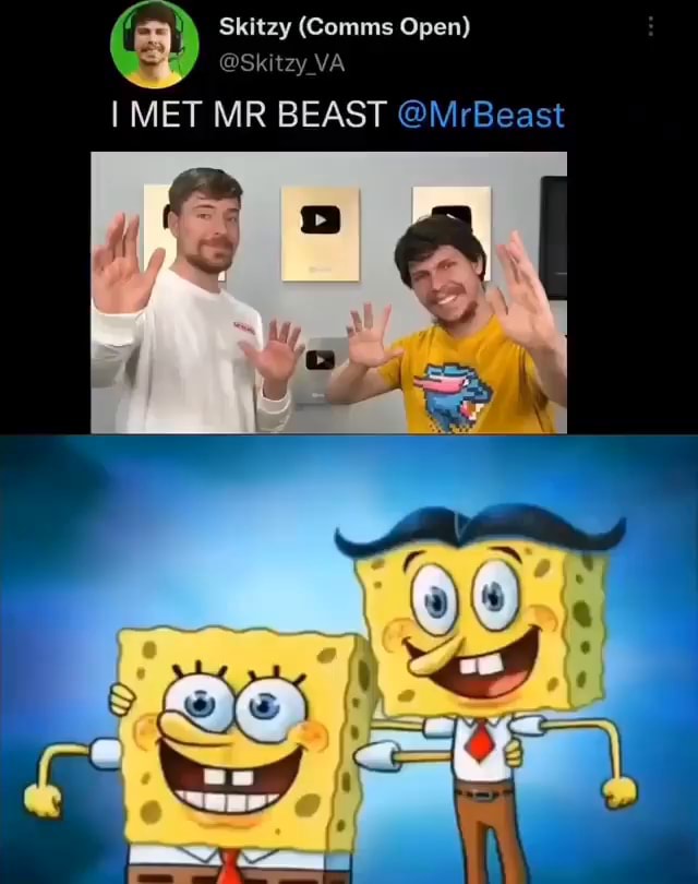 Skitzy (Comms Open) DSkitzy VA I MET MR BEAST @MrBeast - iFunny