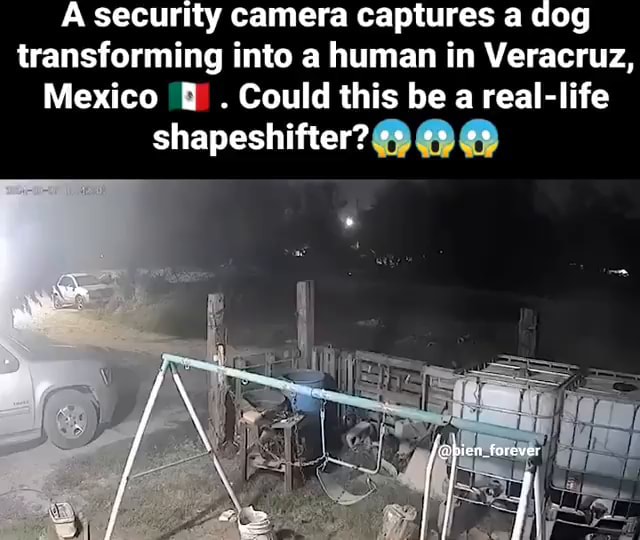 A security camera captures a dog transforming into a human in Veracruz ...