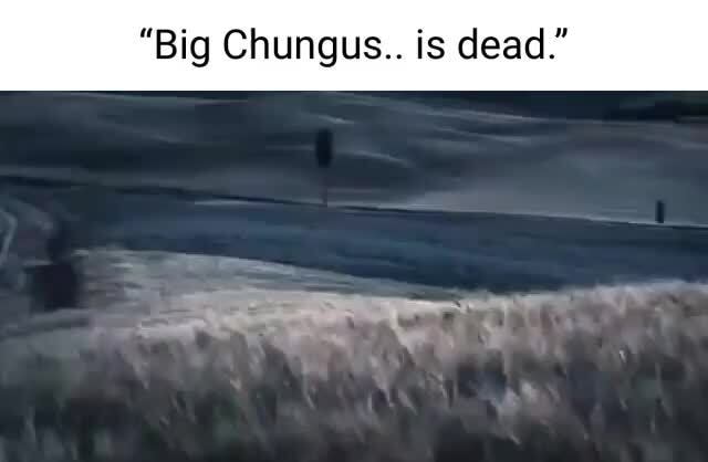 "Big Chungus.. is dead." - iFunny