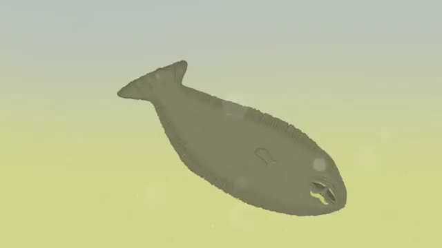 Curse of the flounder - iFunny