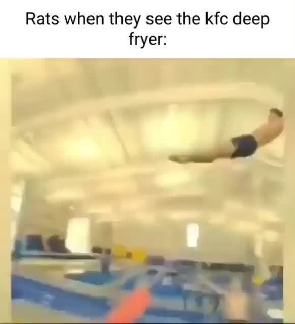 Rats when they see the kfc deep fryer: - iFunny