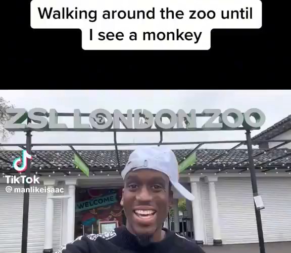 Walking around the zoo until I see a monkey Tik Tok - iFunny
