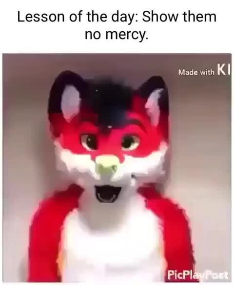 Lesson of the day: Show them no mercy. - iFunny