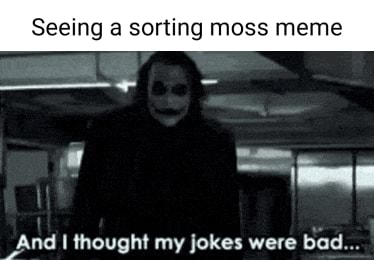Seeing a sorting ss meme And I thought my jokes were bad - iFunny