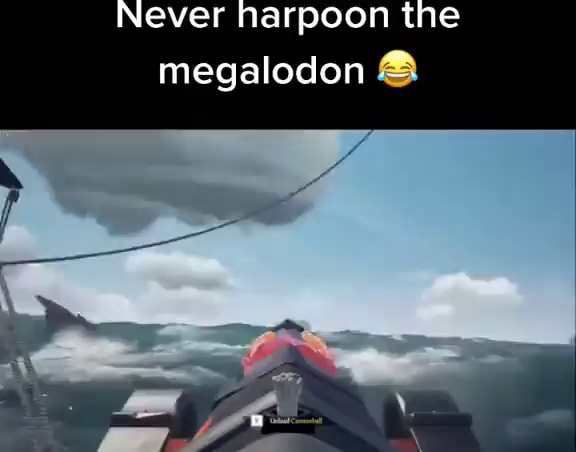 Never harpoon the megalodon - iFunny