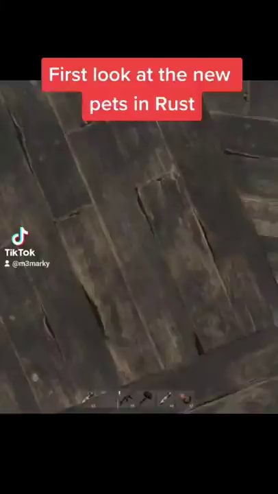 First look at the new I_ pets in Rust - iFunny