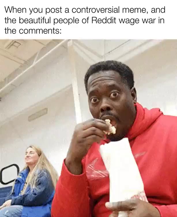 When you post a controversial meme, and the beautiful people of Reddit ...