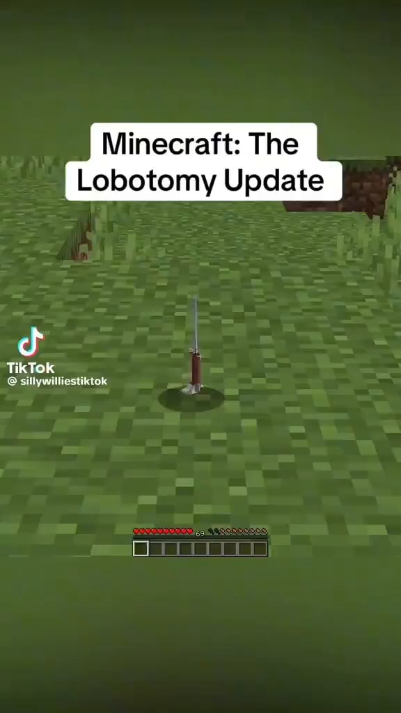 Minecraft: The Lobotomy Update TikTok - iFunny