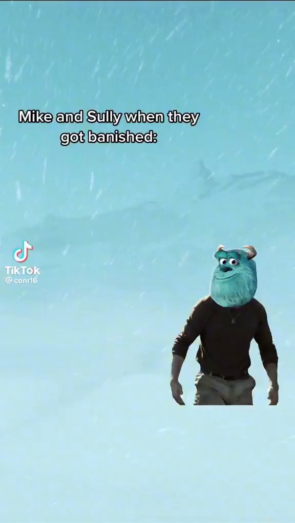 Mike and Sully when they got banished: TikTOK - iFunny