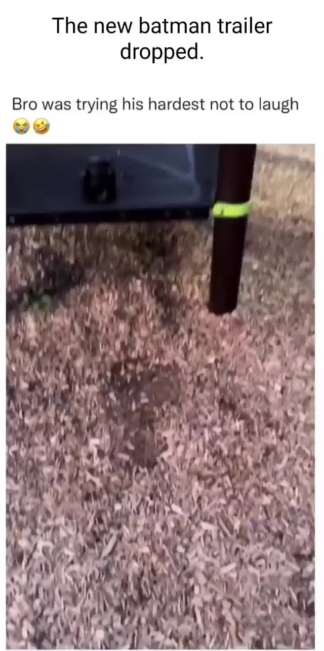 The New Batman Trailer Dropped Bro Was Trying His Hardest Not To Laugh Wy Dy Ifunny