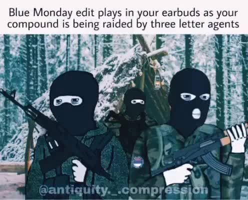 Blue Monday edit plays in your earbuds as your compound is being raided ...